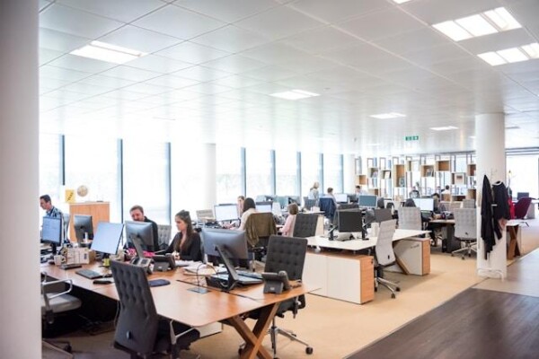 When Businesses Should Move from a PEO to In-House or Fractional HR